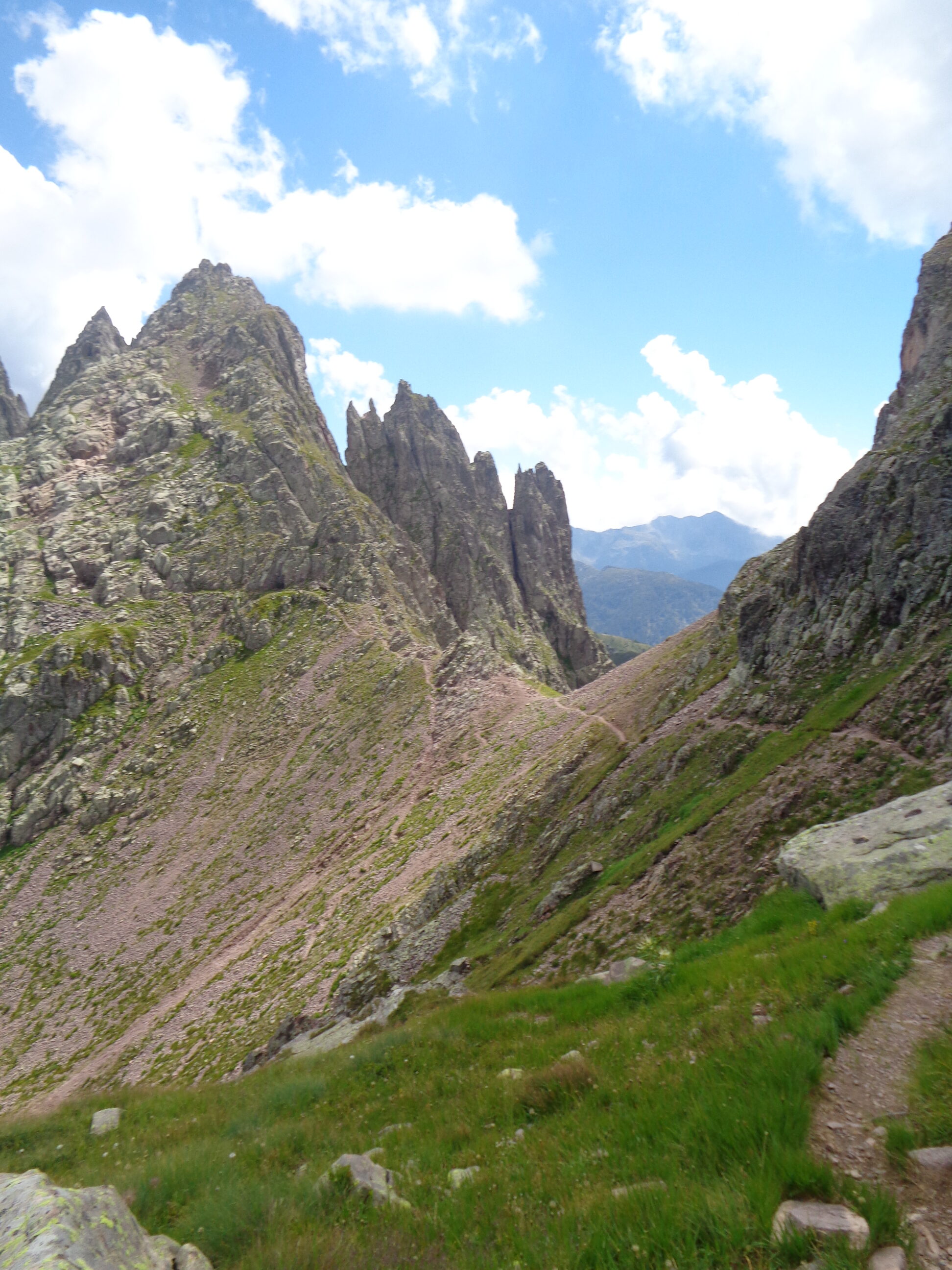 Cece (Cima di) da Malga Valmaggiore - Escursionismo | Camminata a ...