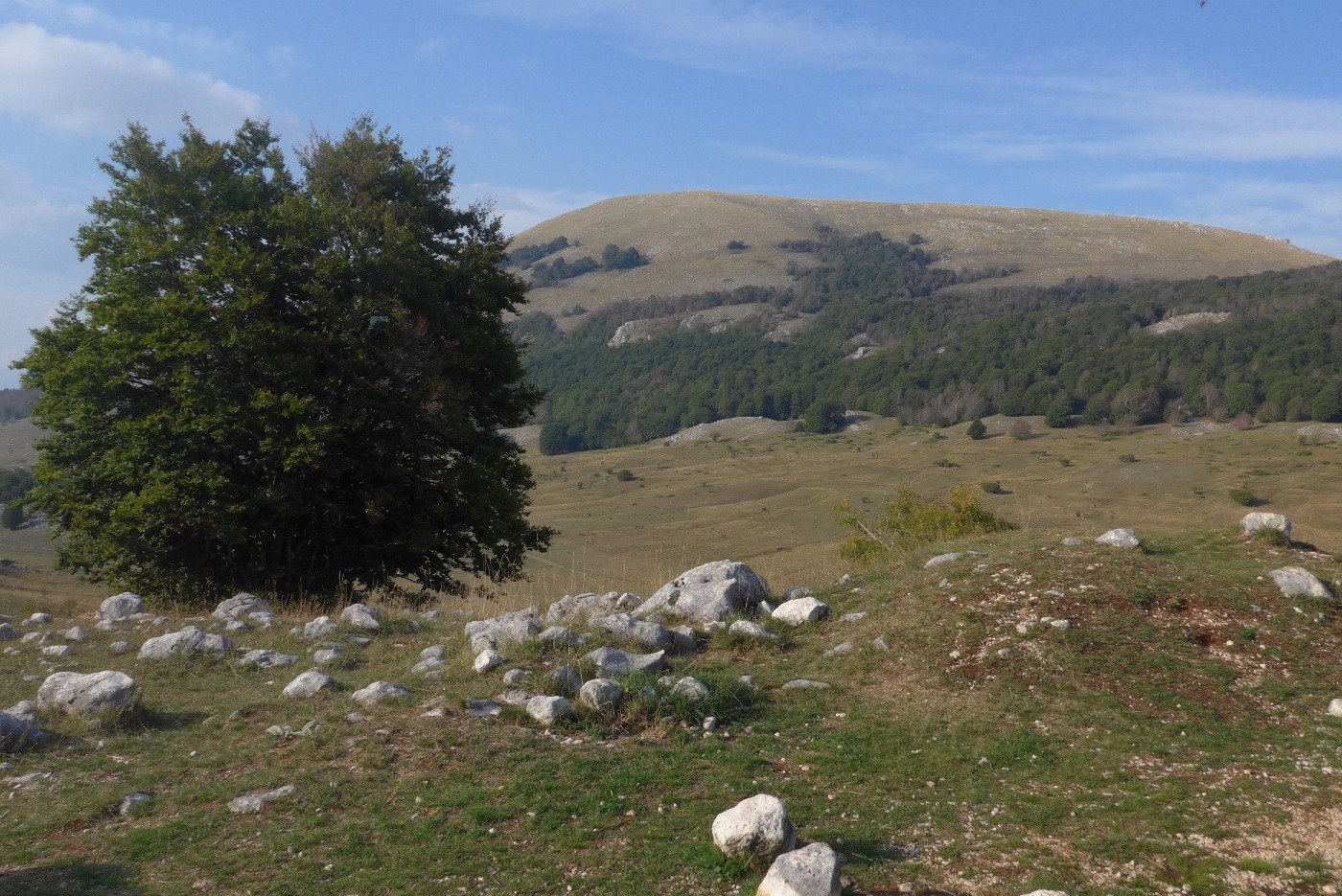Cicerana (Rifugio) e Foresta Vetusta dal Passo del Diavolo ...
